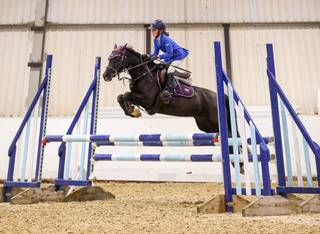 Pony for Sale | Lovely 13 year old 128 registered Welsh section B