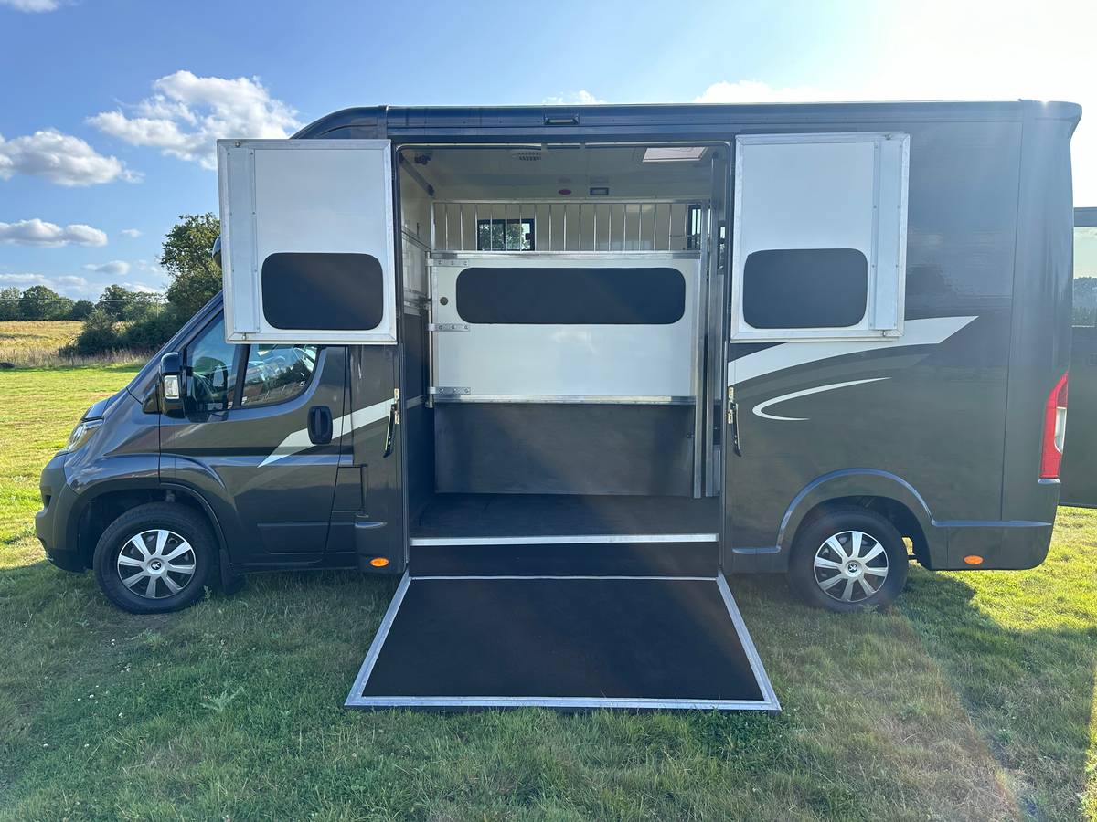 Horseboxes & Trailers for Sale | Peugeot Boxer 3.5t New Build