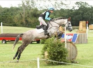 Horse for Sale | Eventer / SJ / Young rider