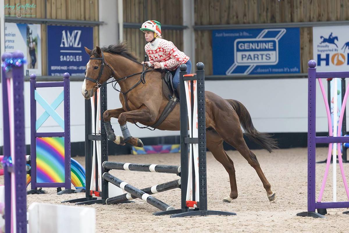 Ex-Racehorses for Sale | Whickr