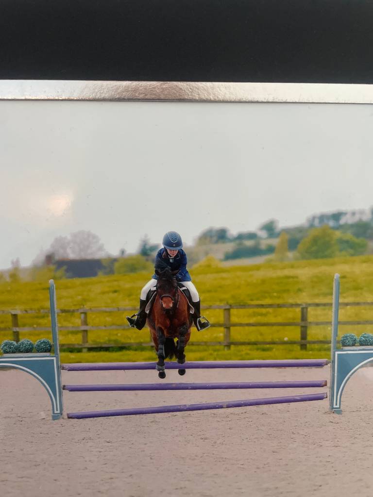 Pony for Sale | British Riding Pony
