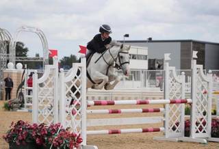Pony for Sale | Genuine 148 Competition pony