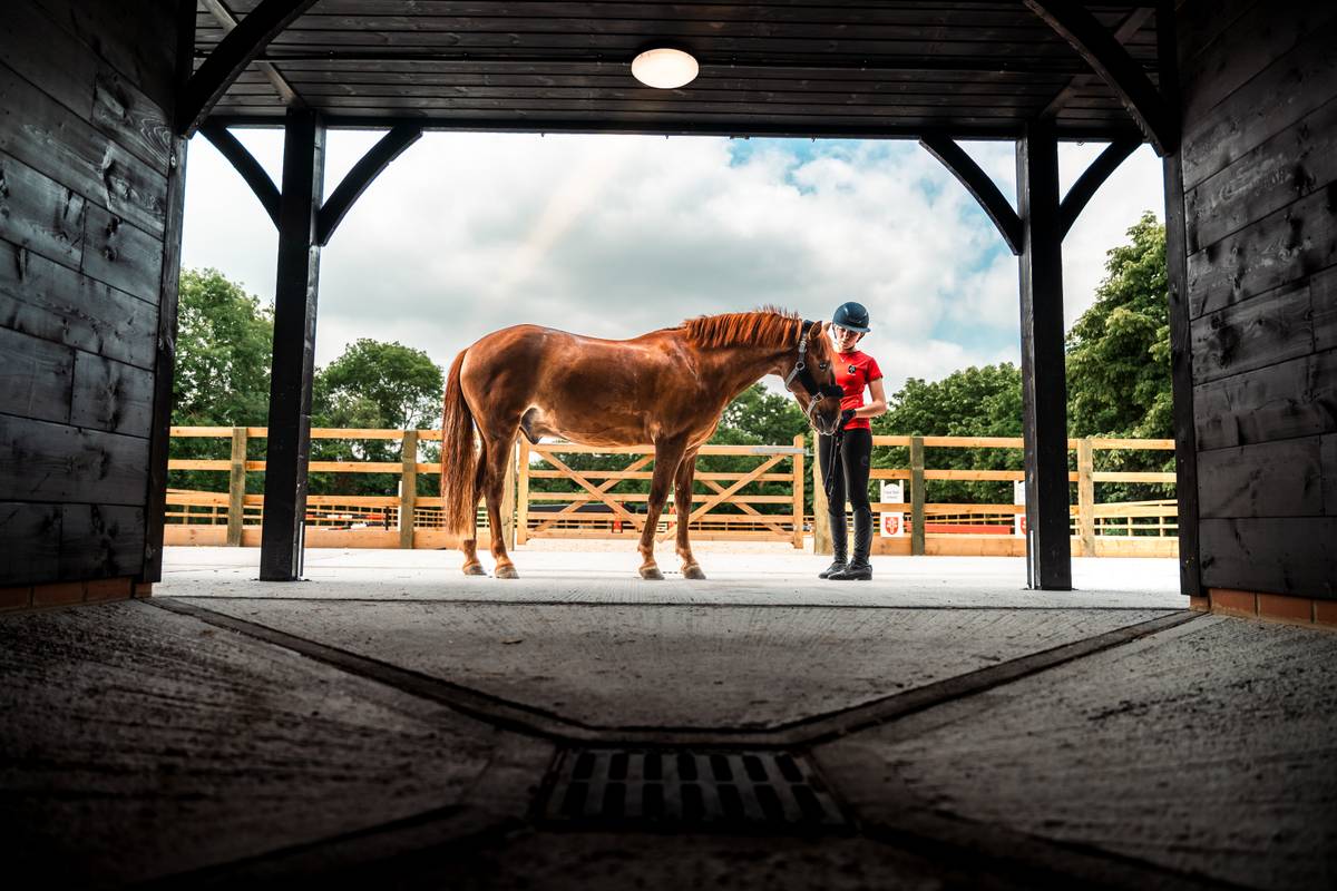 Equine Jobs | Whickr