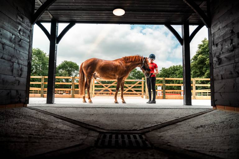 Equine Jobs | Whickr