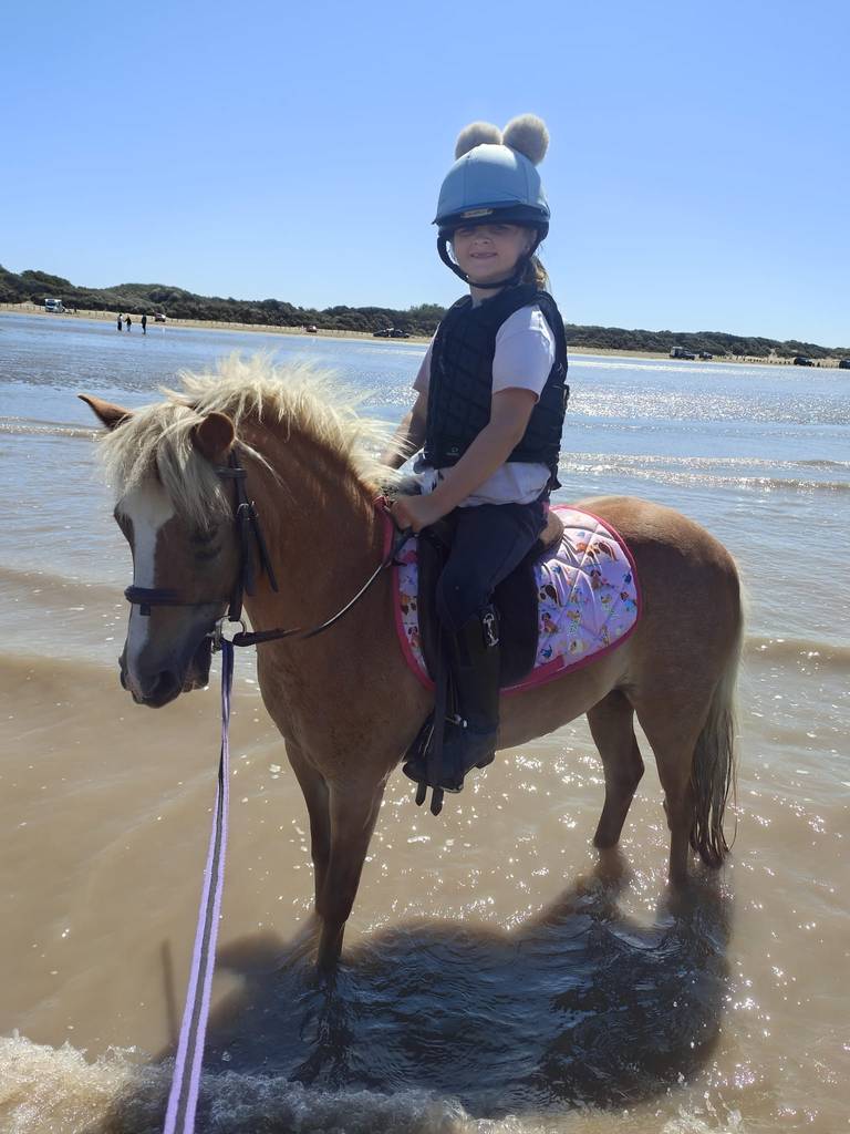 Horse for Sale | Lead rein/hunt/hack pony