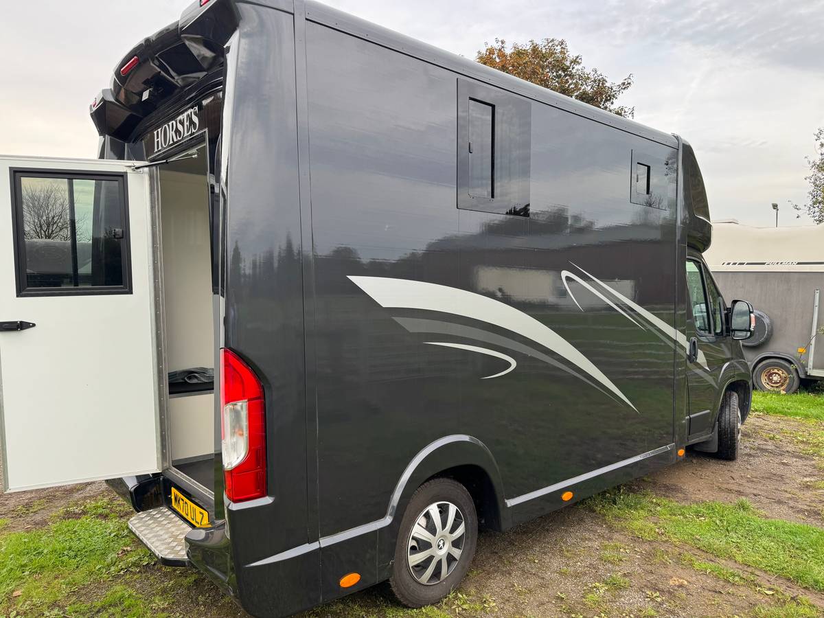 Horseboxes & Trailers for Sale | Peugeot Boxer 3.5t New Build