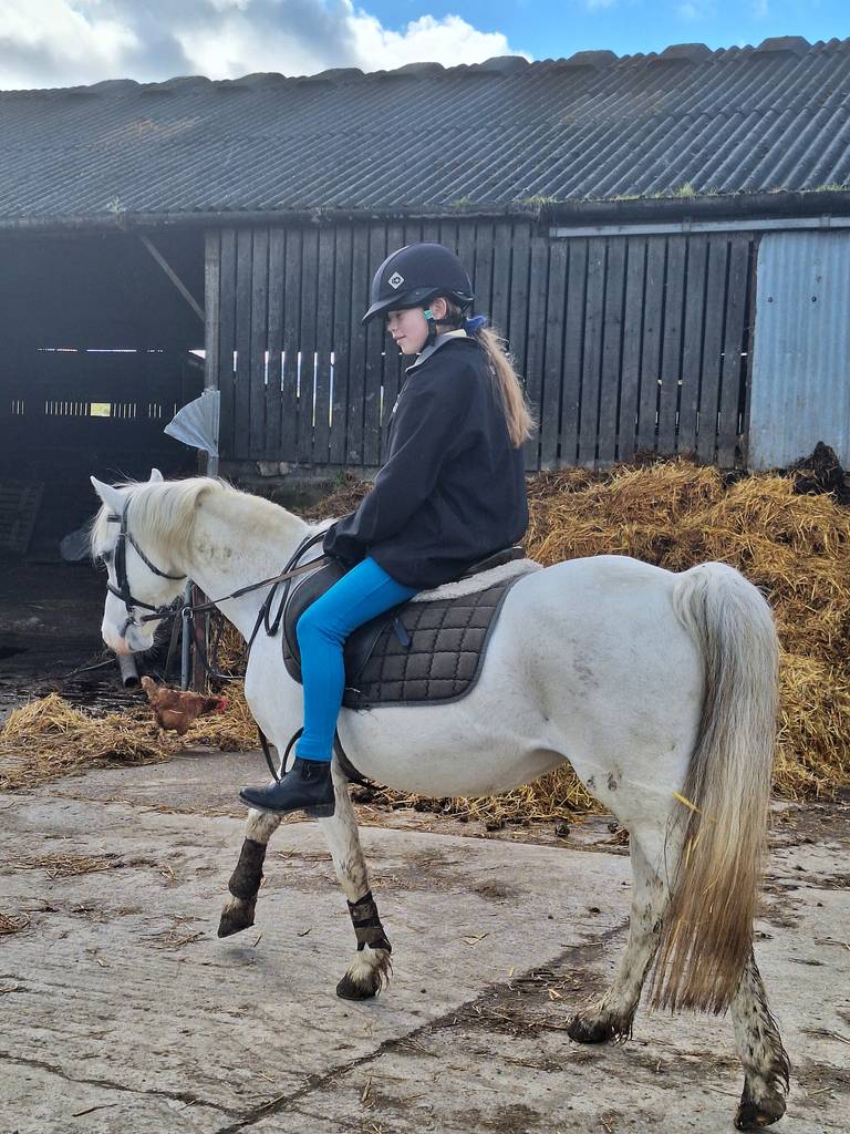 Pony for Sale | 12.2hh Section B Mare - Poppy