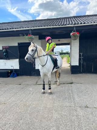 Pony for Sale | 🌟🌟Smart Pony🌟🌟