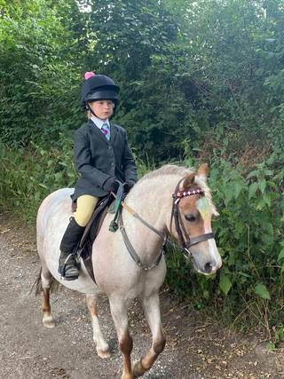 Pony for Sale | Super 1st Ridden / FYFR