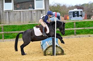 Pony for Sale | Lion - mini black beauty, the perfect lead rein/first ...