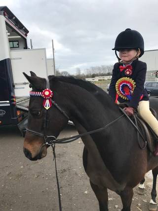 Pony for Loan | Lead Rein/first ridden for loan