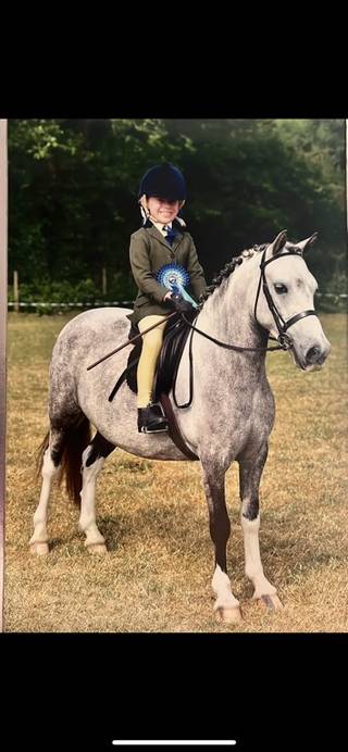 Pony for Sale | Beautiful young mare