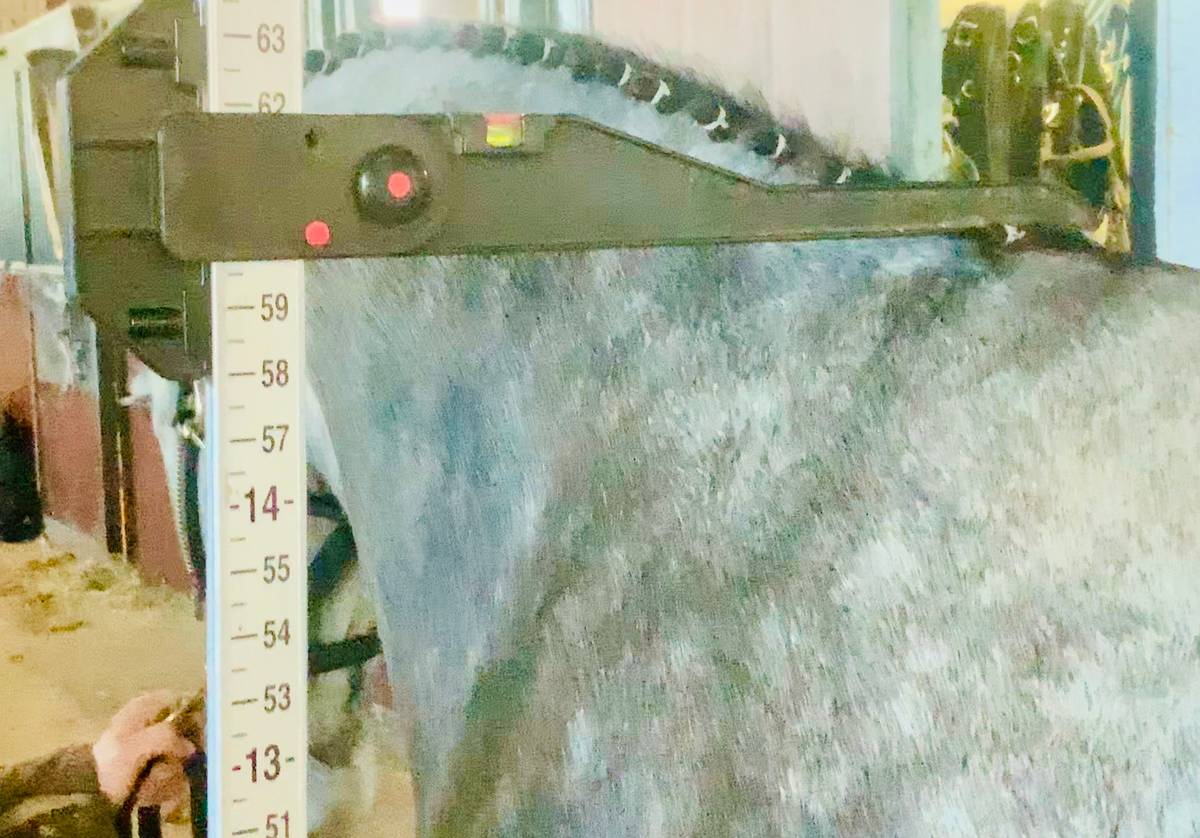 Horse for Sale | Quinn - Reserve Champion Connemara – Kind Nature ...