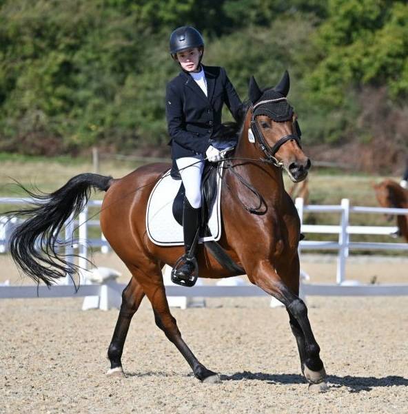 Pony for Sale | Stunning NRPS All-Rounder
