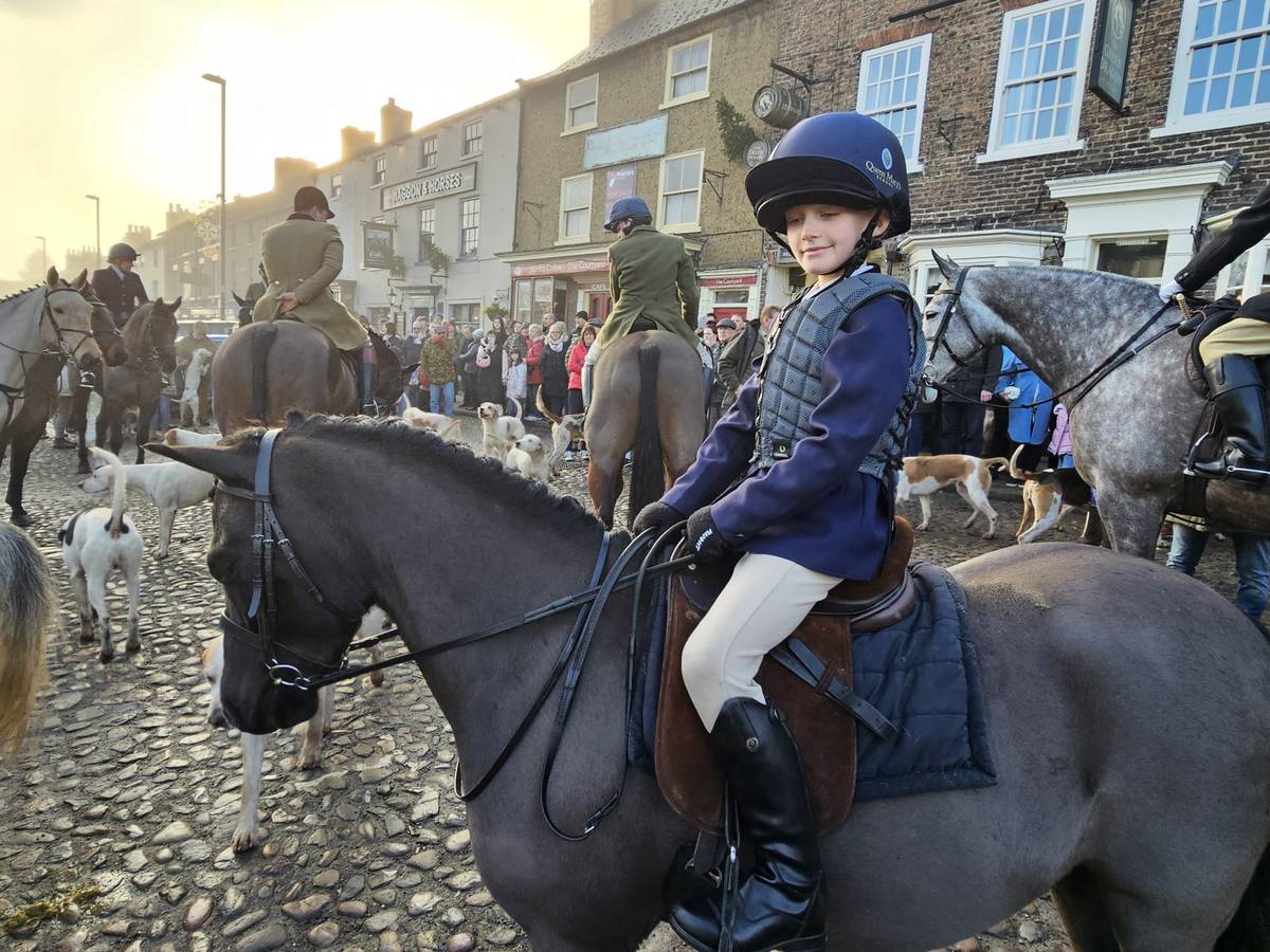 Pony for Sale | Lion - mini black beauty, the perfect lead rein/first ...