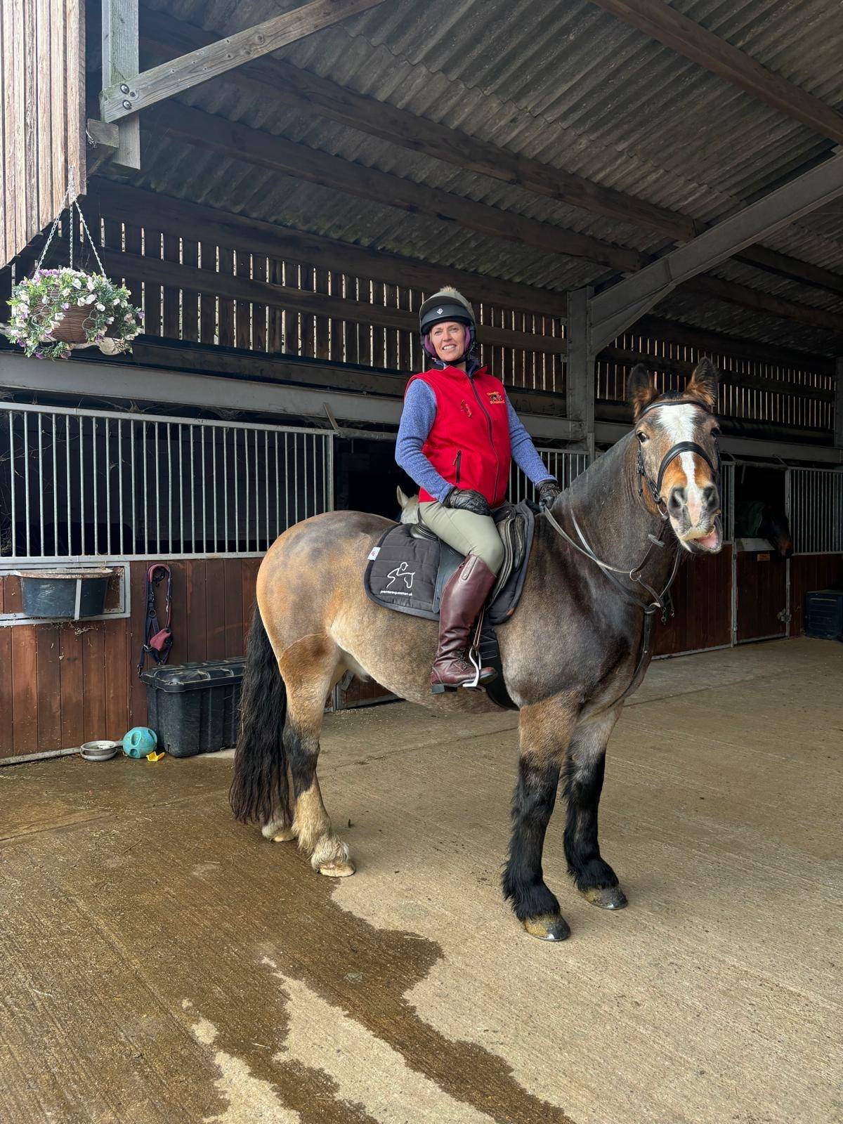Horse for Sale | Confidence giving all rounder
