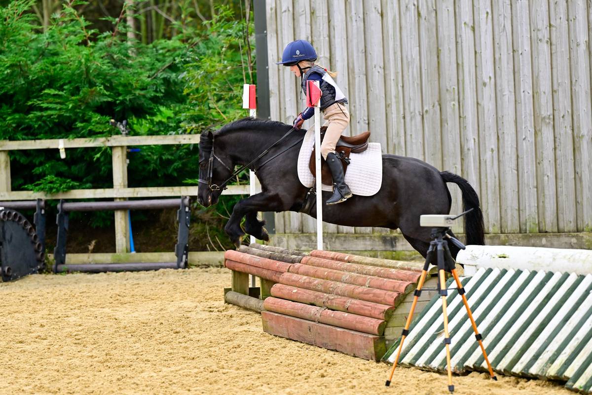 Pony for Sale | Lion - mini black beauty, the perfect lead rein/first ...