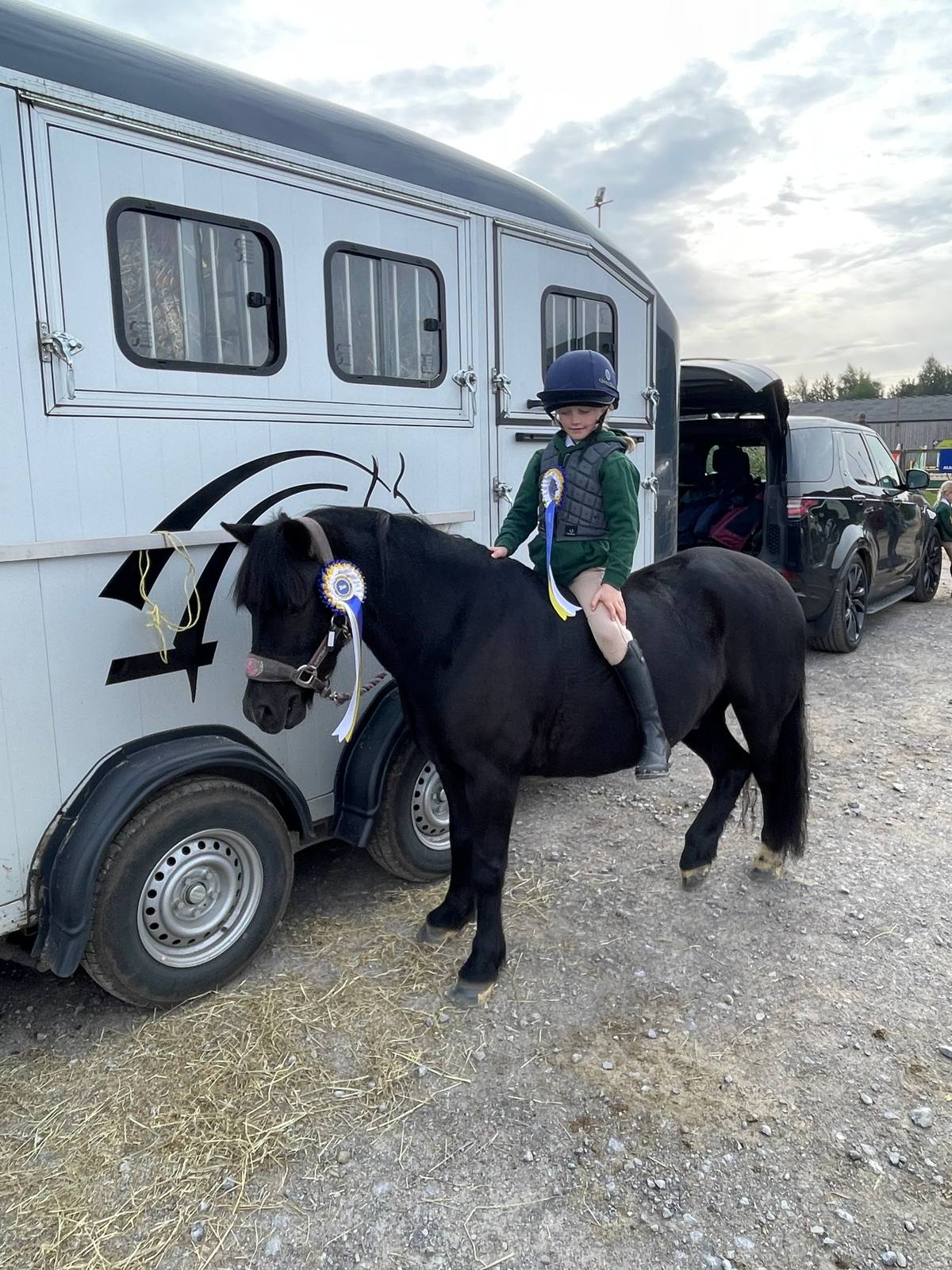 Pony for Sale | Lion - mini black beauty, the perfect lead rein/first ...
