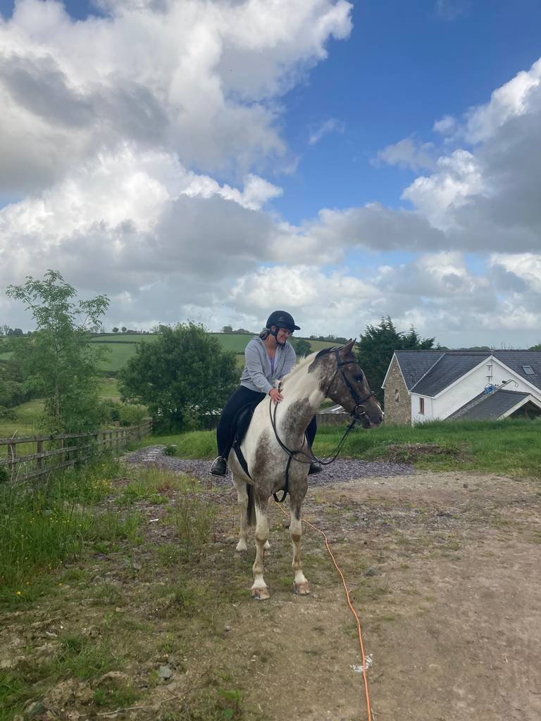 Horse for Sale | 16.3 13yo WPB Happy Hacker