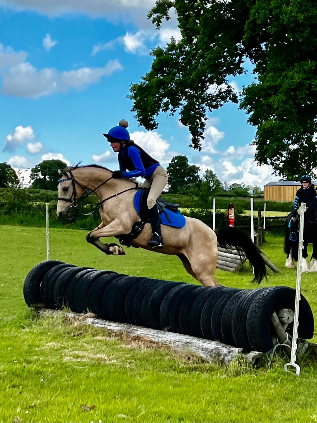 Pony for Sale | SUPER SWEET 13 2 hh MARE PC / MG PONY