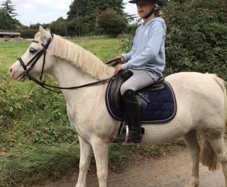 Pony for Sale | Lead rein and first ridden pony