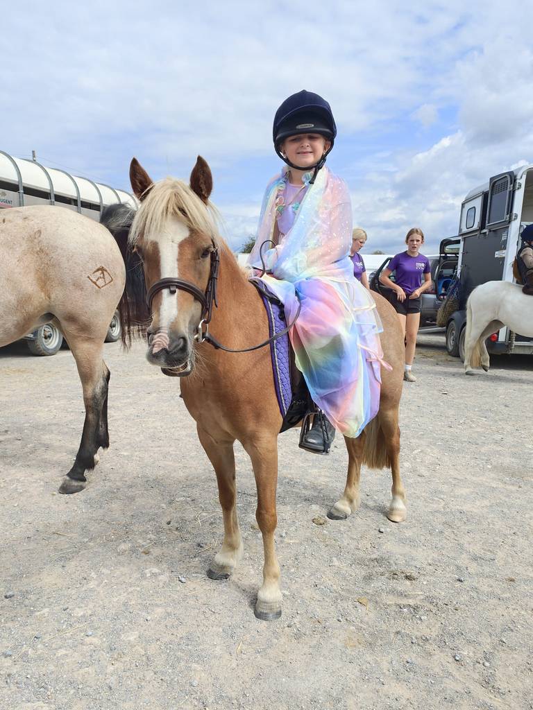 Horse for Sale | Lead rein/hunt/hack pony