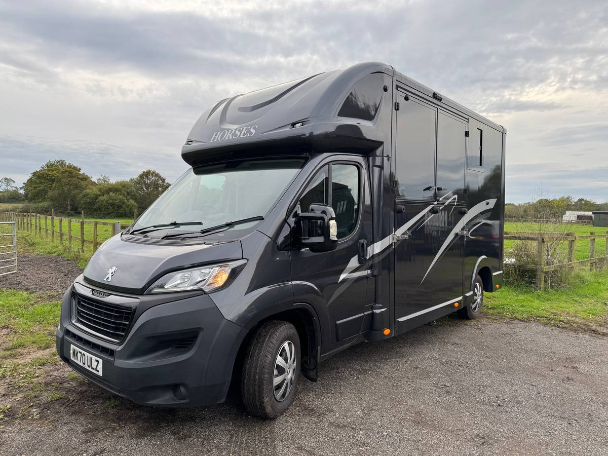 Horseboxes & Trailers for Sale | Peugeot Boxer 3.5t New Build
