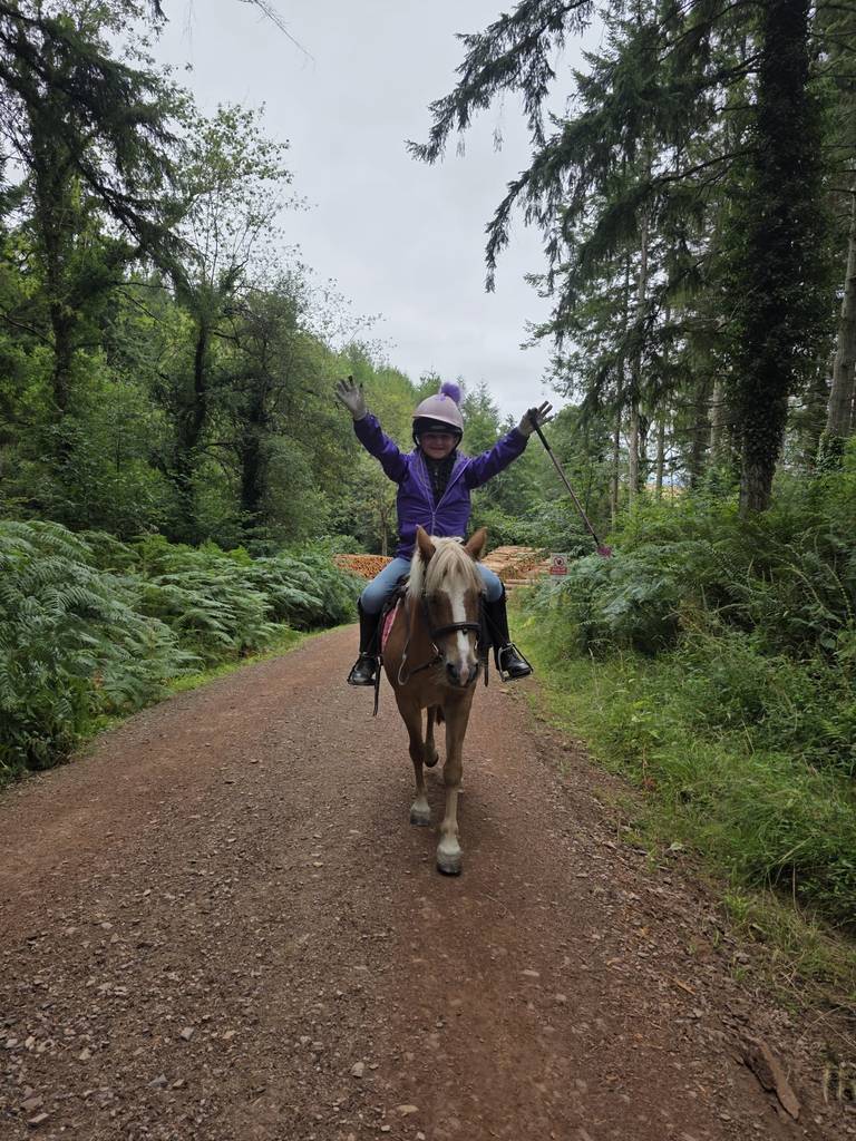 Horse for Sale | Lead rein/hunt/hack pony