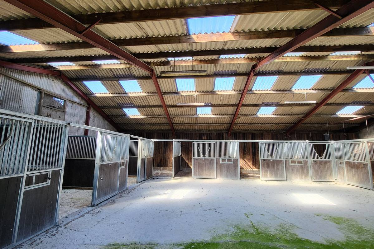 Property for Sale | Arches Hall & Stud Farm, Latchford, Standon ...