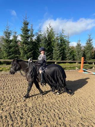 Pony for Sale | Lion - mini black beauty, the perfect lead rein/first ...